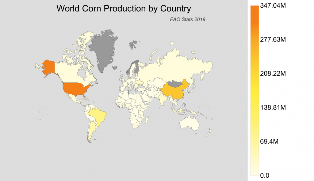 Maize (Corn) - Foodfinderz